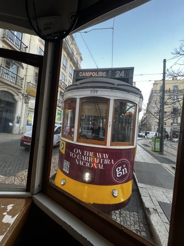 Top 12 Must-Do Activities in Lisbon for Families - 7 Wayfinders